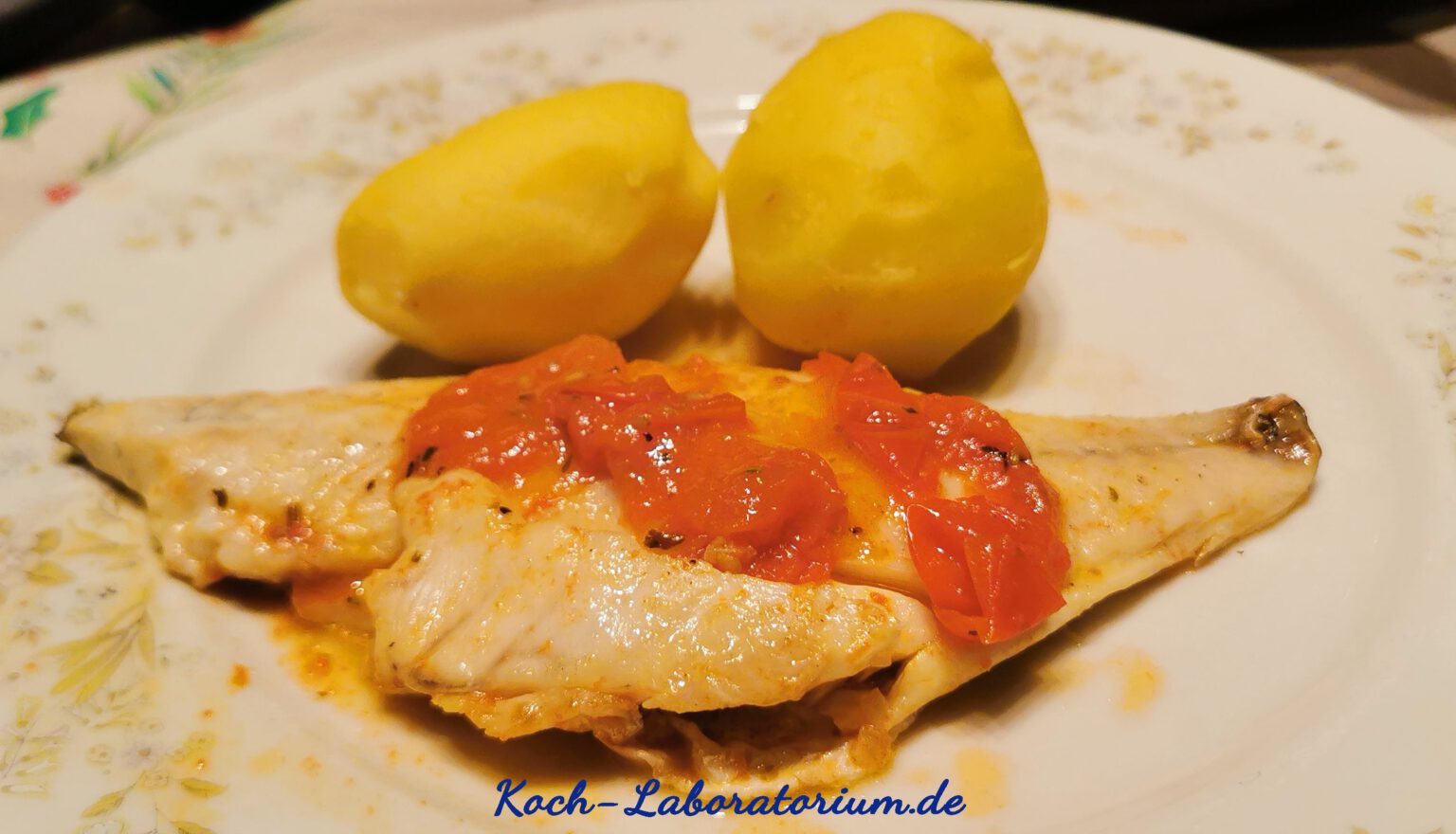 Doradenfilets mit Tomatensauce – Kochlaboratorium